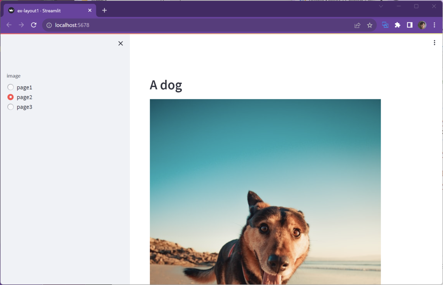 Streamlit入門 – 5)レイアウト - Future Coders