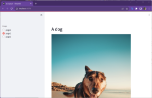 Streamlit入門 – 5)レイアウト - Future Coders