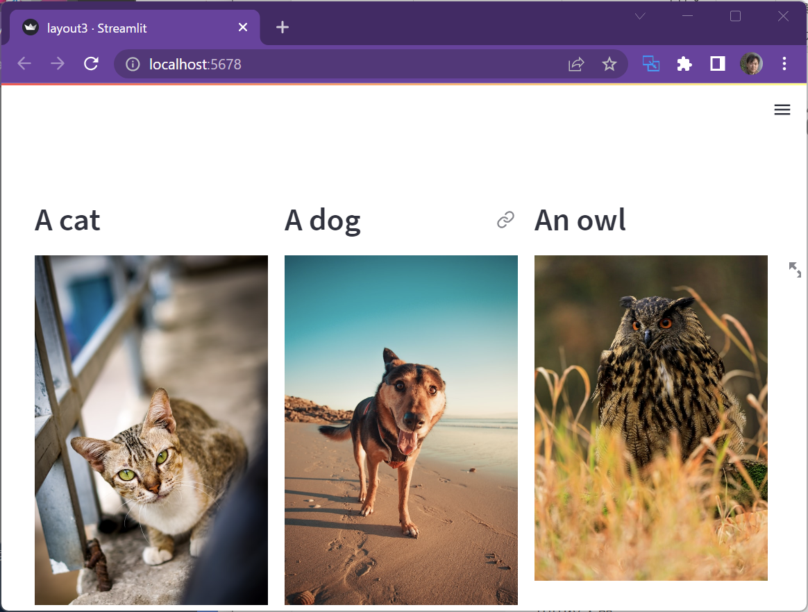 Streamlit入門 – 5)レイアウト - Future Coders